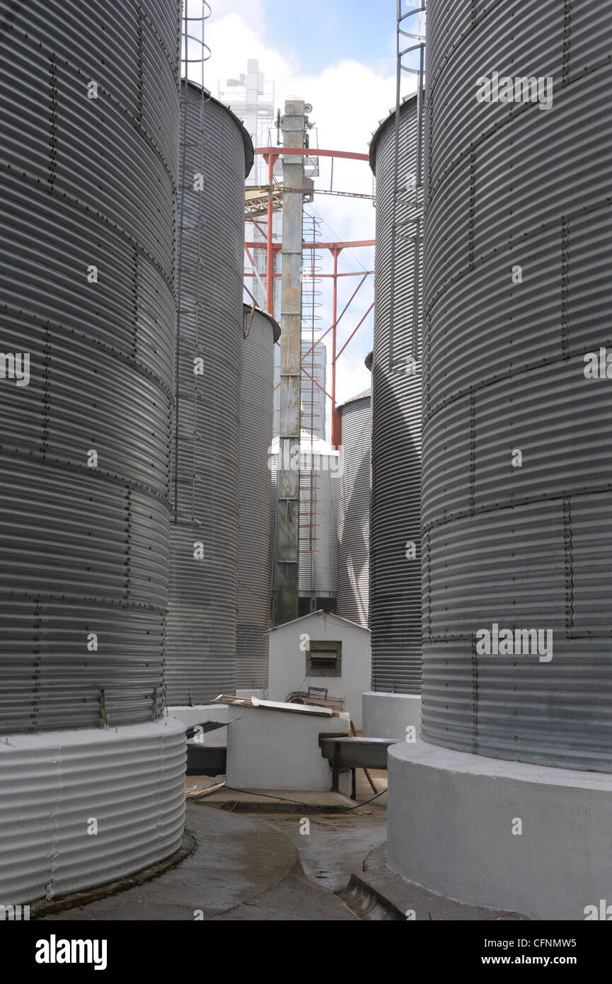 Silos of the rice industry in Brazil Stock Photo - Alamy