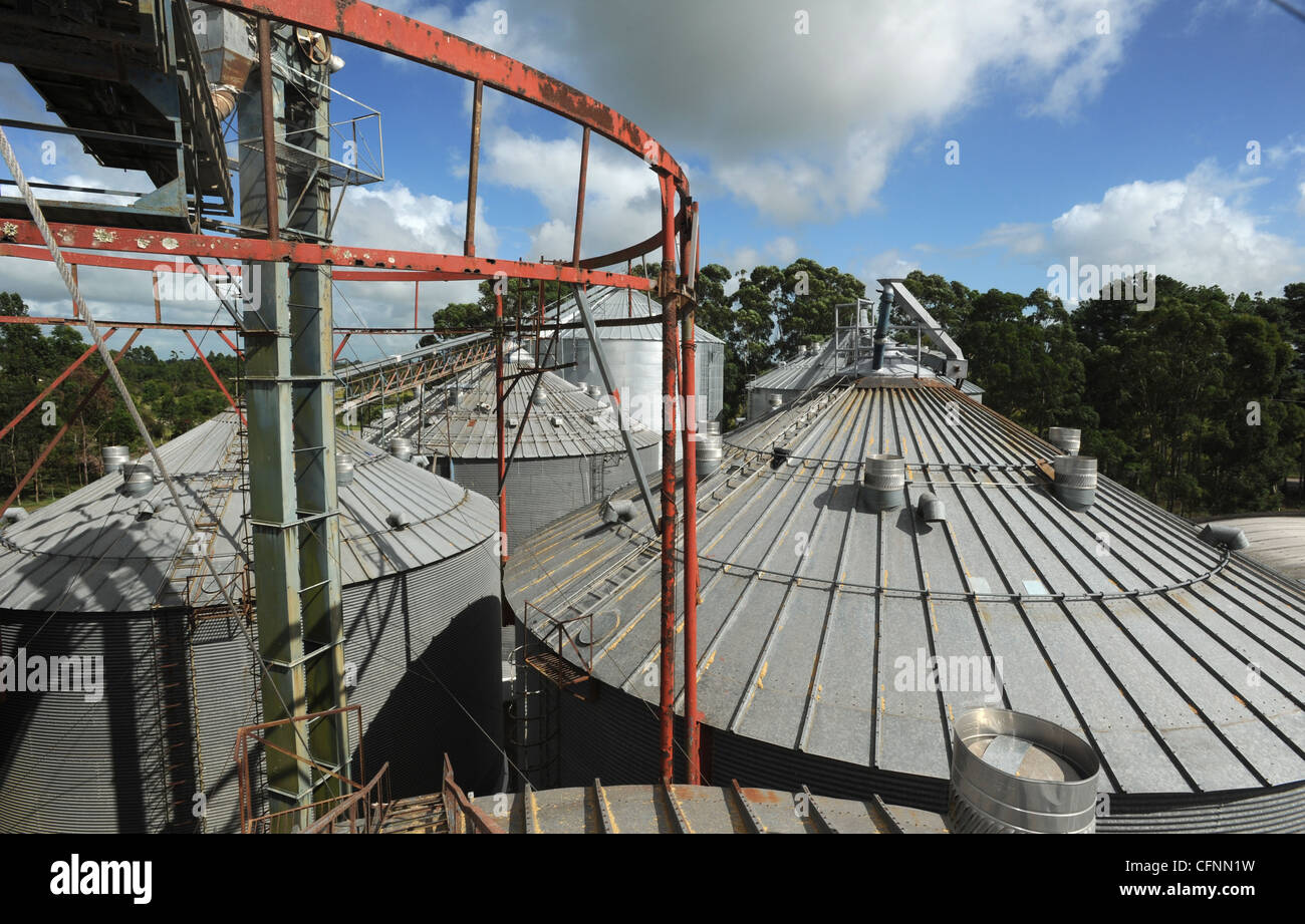 Rice silos hi-res stock photography and images - Alamy