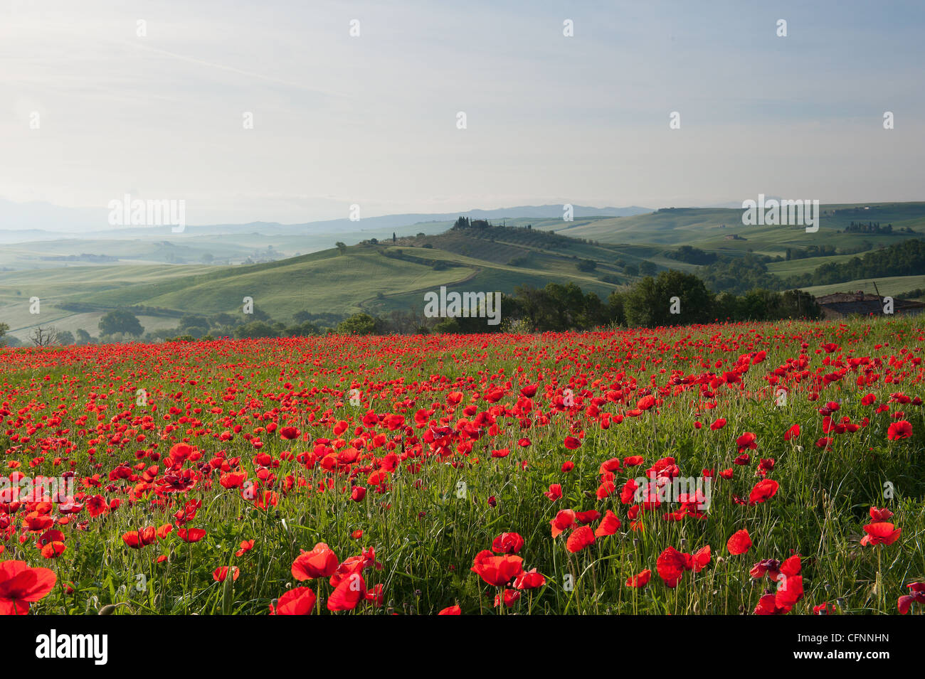 Spring in tuscany hi-res stock photography and images - Alamy