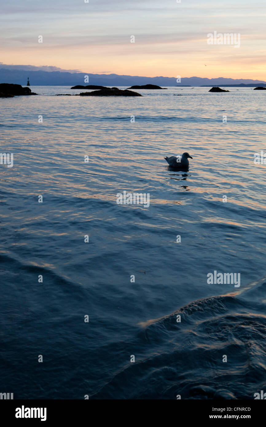 Victoria british columbia juan de fuca strait hi-res stock photography ...