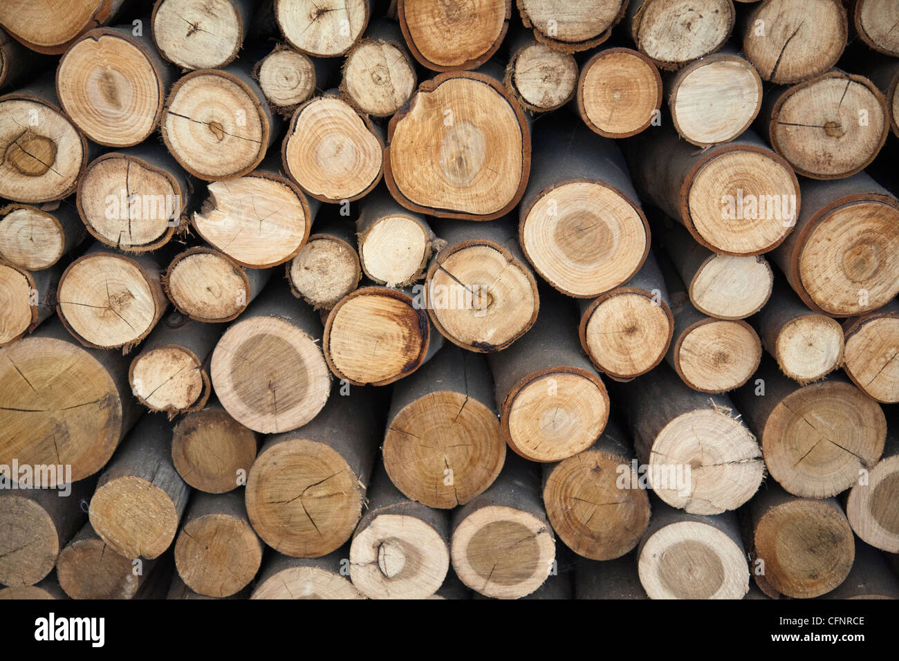 Stacked Wooden logs Stock Photo - Alamy