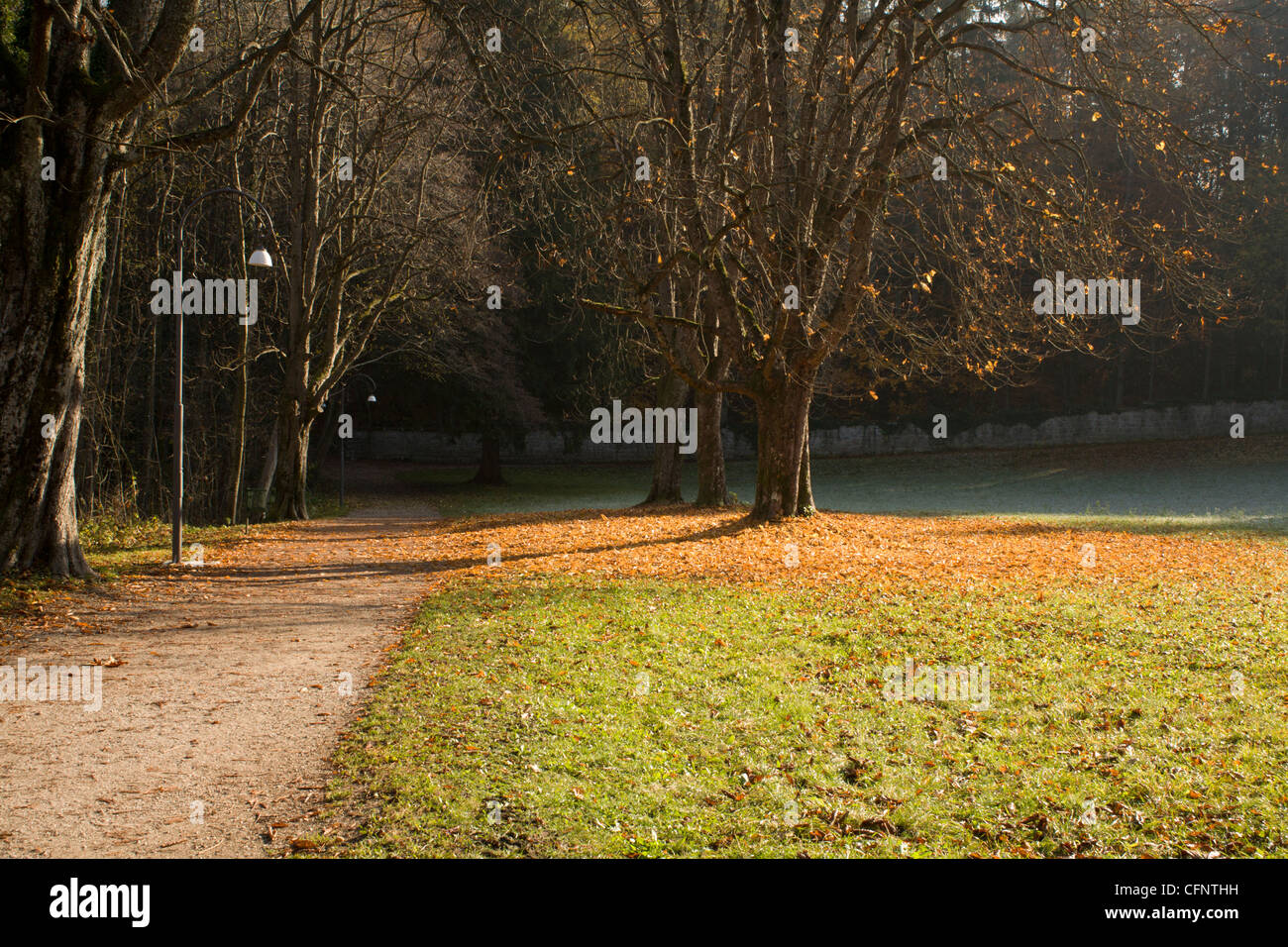 Lake Bled in Autumn. The walking path circumnavigates the entire lake ...