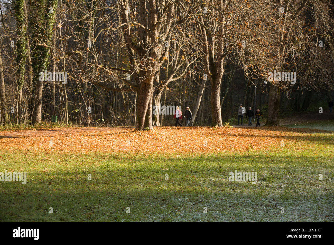 Lake Bled in Autumn. The walking path circumnavigates the entire lake ...