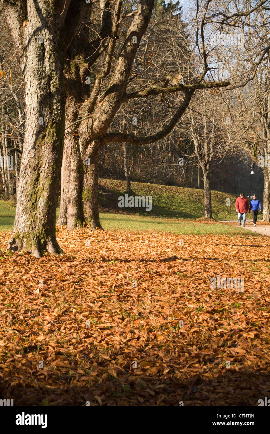 Lake Bled in Autumn. The walking path circumnavigates the entire lake ...