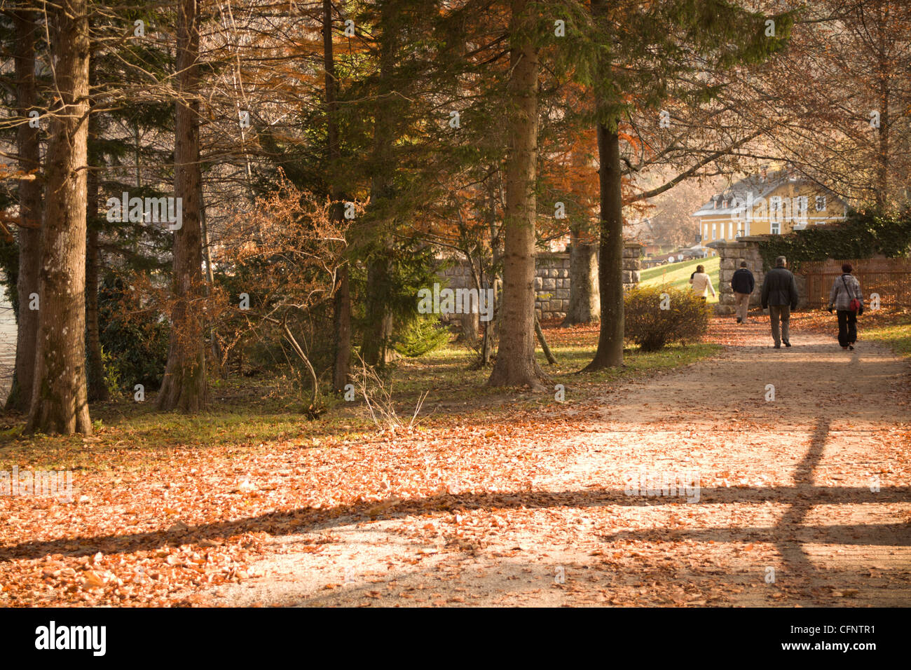 Lake Bled in Autumn. The walking path circumnavigates the entire lake ...