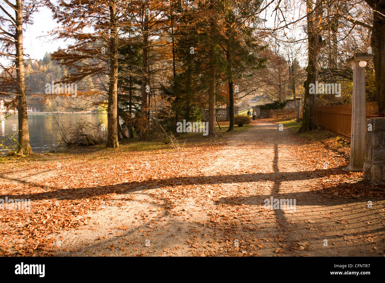 Lake Bled in Autumn. The walking path circumnavigates the entire lake ...