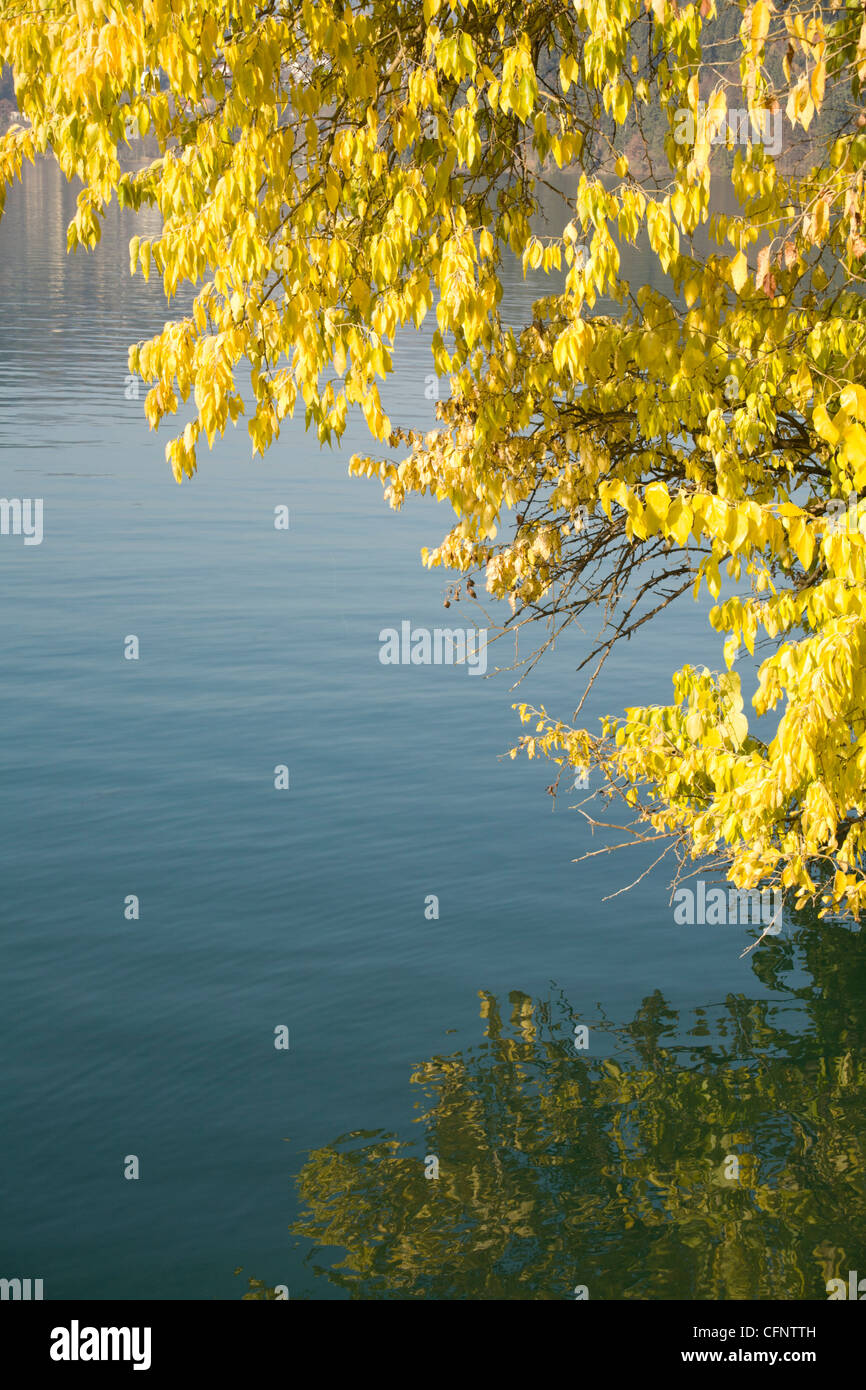 Lake Bled in Autumn. A walking path circumnavigates the entire lake and ...