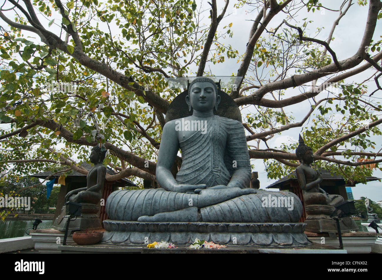 Brahman Buddhist statue at the Seema Malakaya Meditation temple in Colombo, Sri Lanka Stock ...