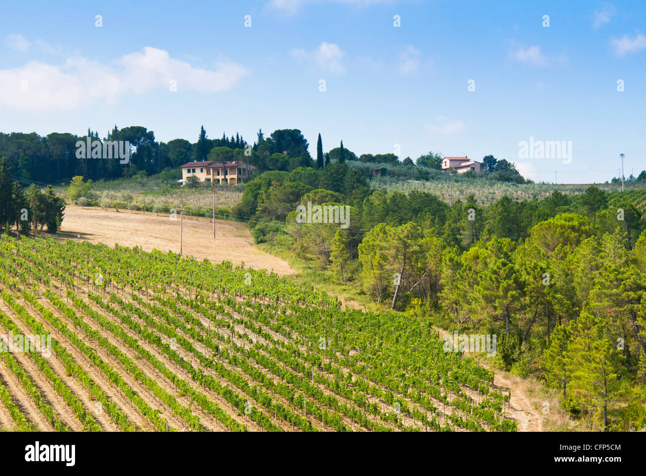 Tuscany area hi-res stock photography and images - Alamy