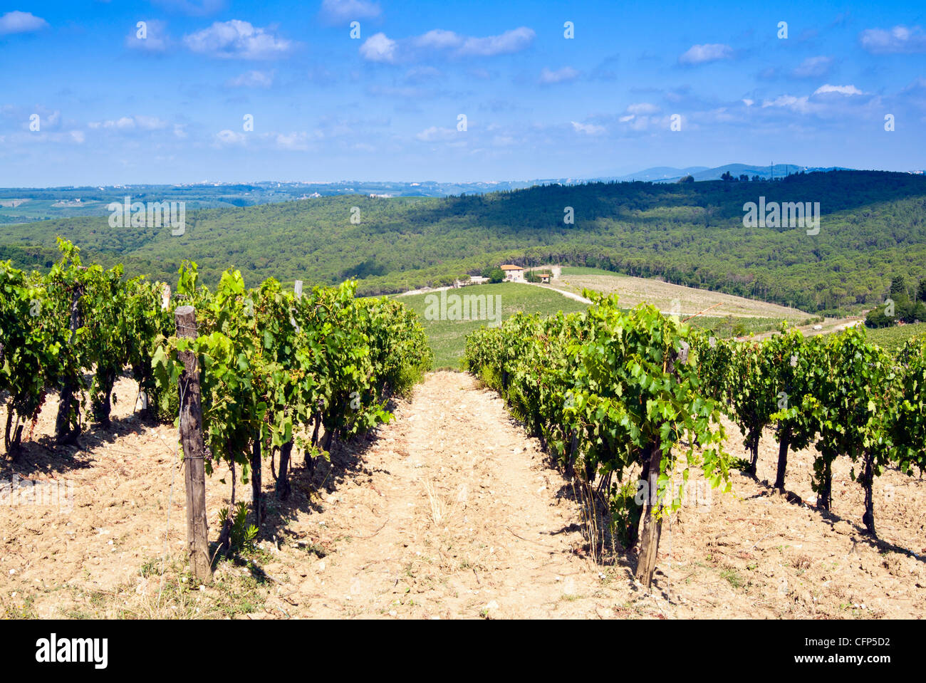 Tuscany area hi-res stock photography and images - Alamy