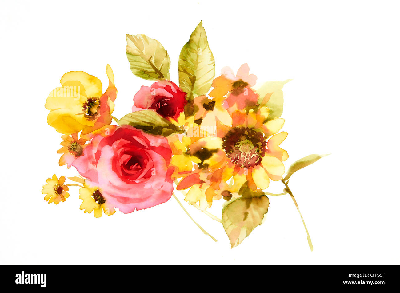 Color illustration of flowers in watercolor paintings Stock Photo - Alamy