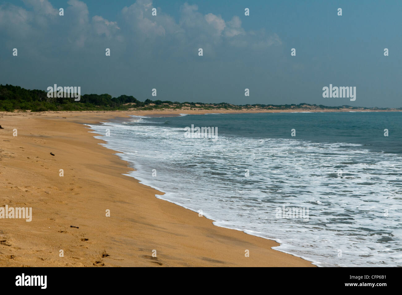 Yala national park beach hi-res stock photography and images - Alamy