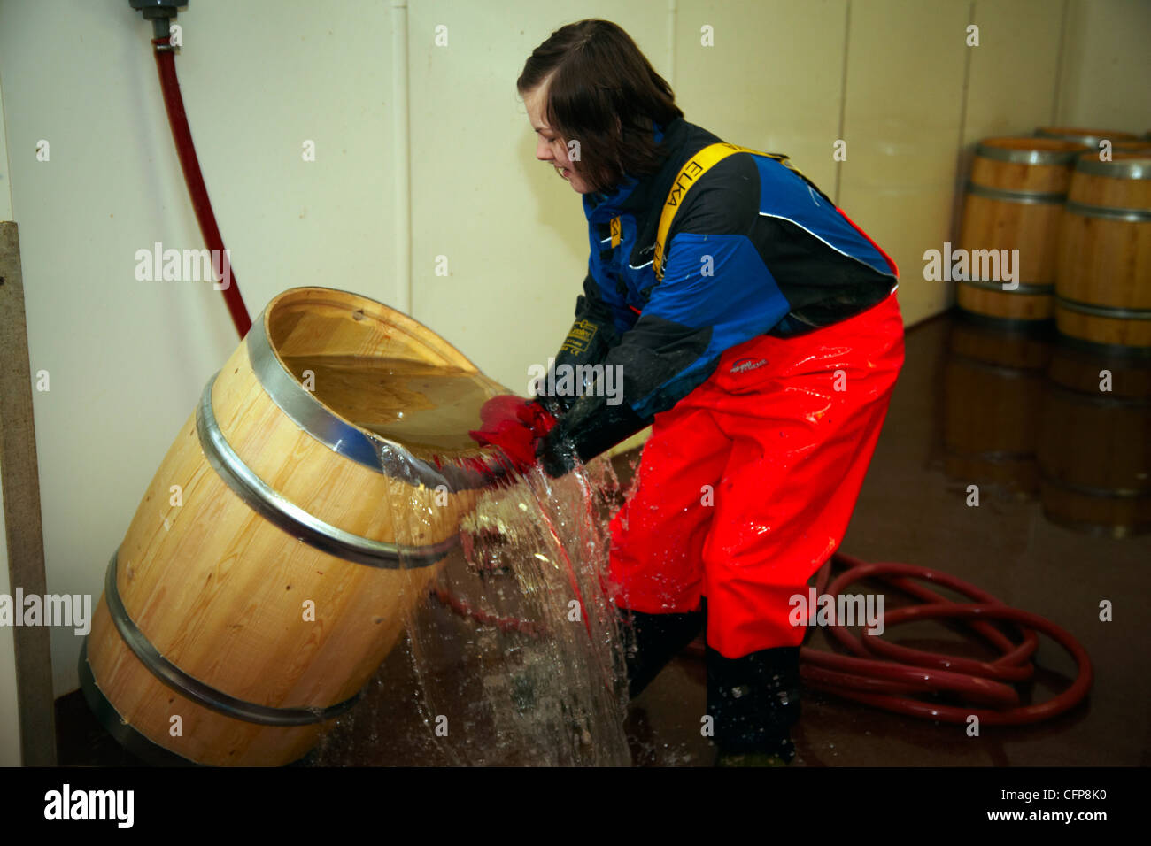 In a fish factory in Röst, Lofoten, Norway Stock Photo - Alamy