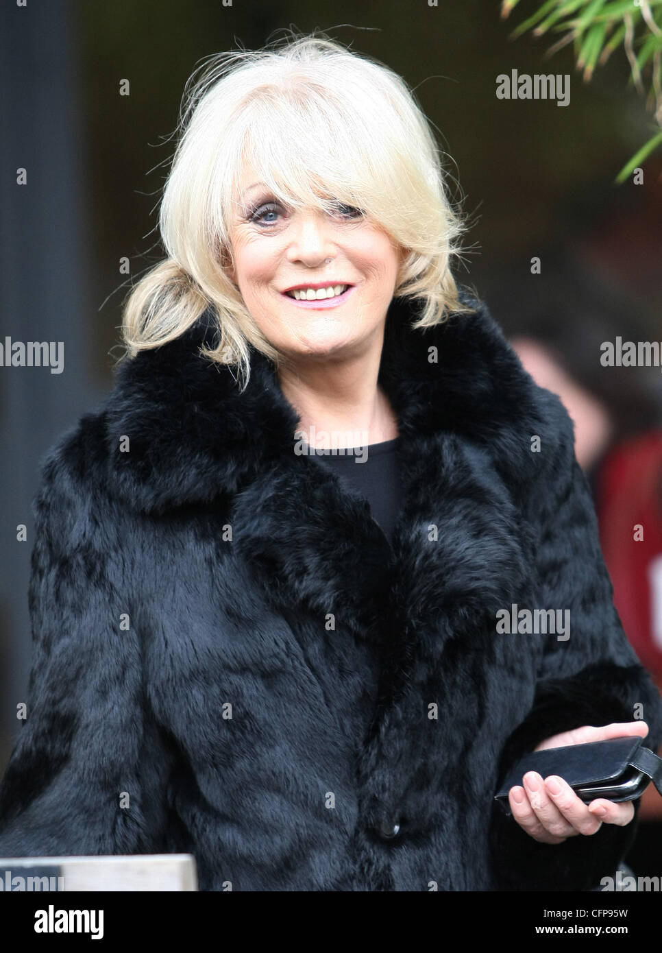 Sherrie Hewson leaves the ITV studios London, England - 04.02.11 Stock ...