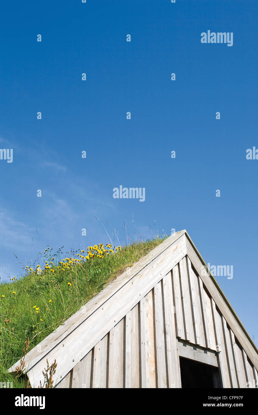 Traditional turf house, Skaftafell National Park, Iceland Stock Photo ...
