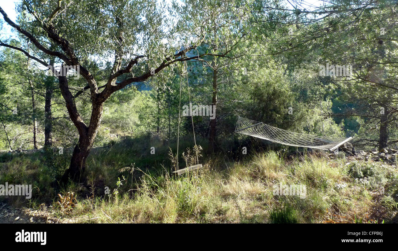 Tree with swing hi-res stock photography and images - Alamy