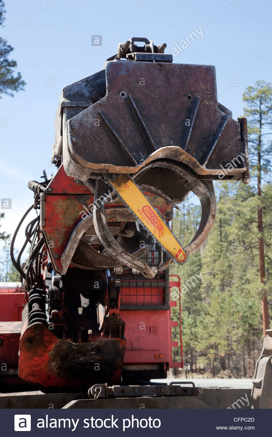 Cutting Timber Wheel High Resolution Stock Photography and Images - Alamy