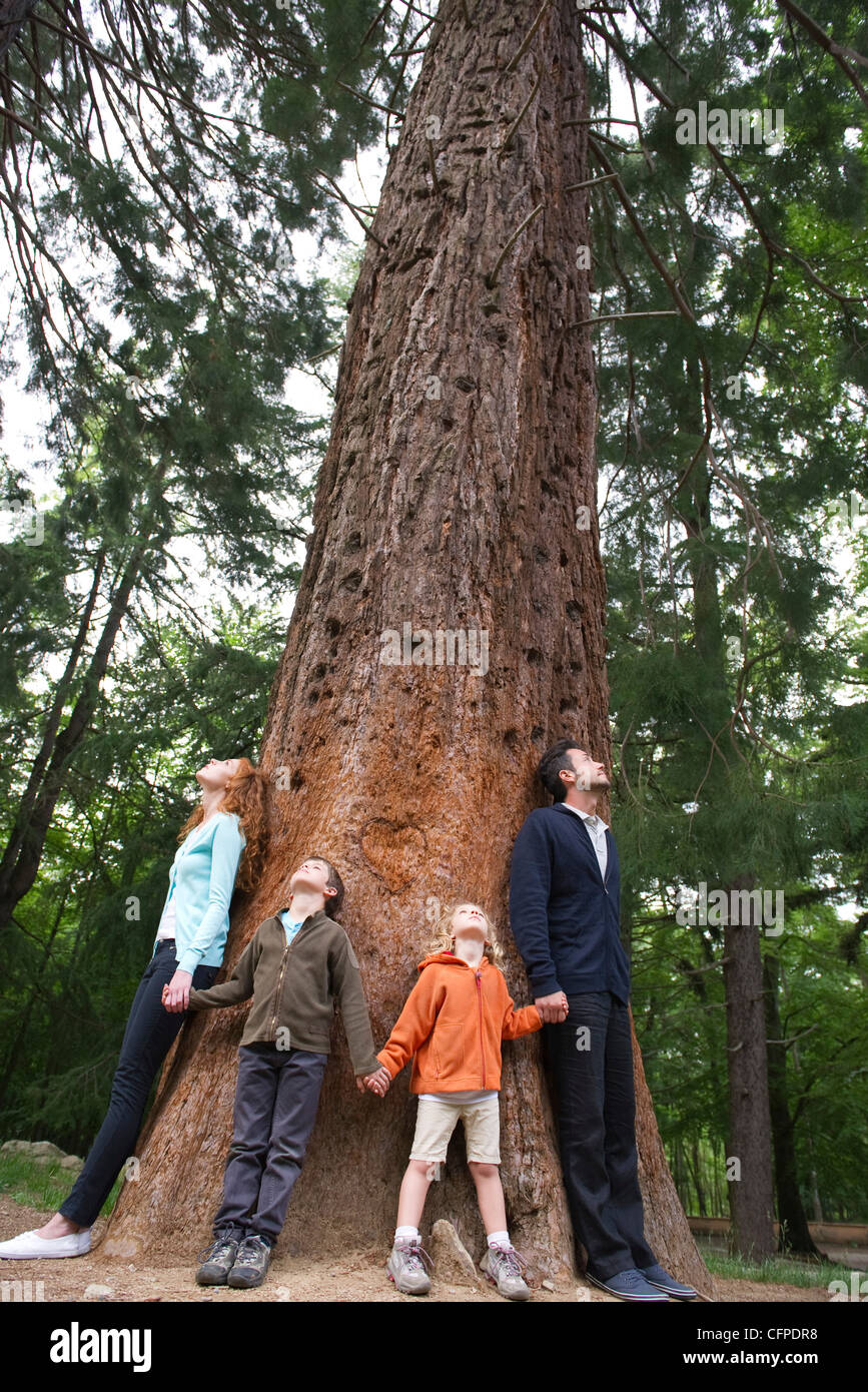 Family standing together at base of tall tree, holding hands Stock ...
