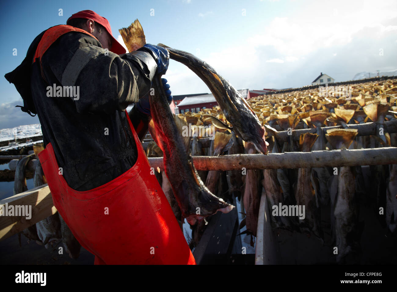 Cod island hi-res stock photography and images - Alamy