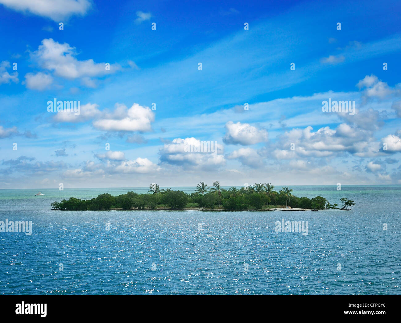 Small island in ocean palm hi-res stock photography and images - Alamy