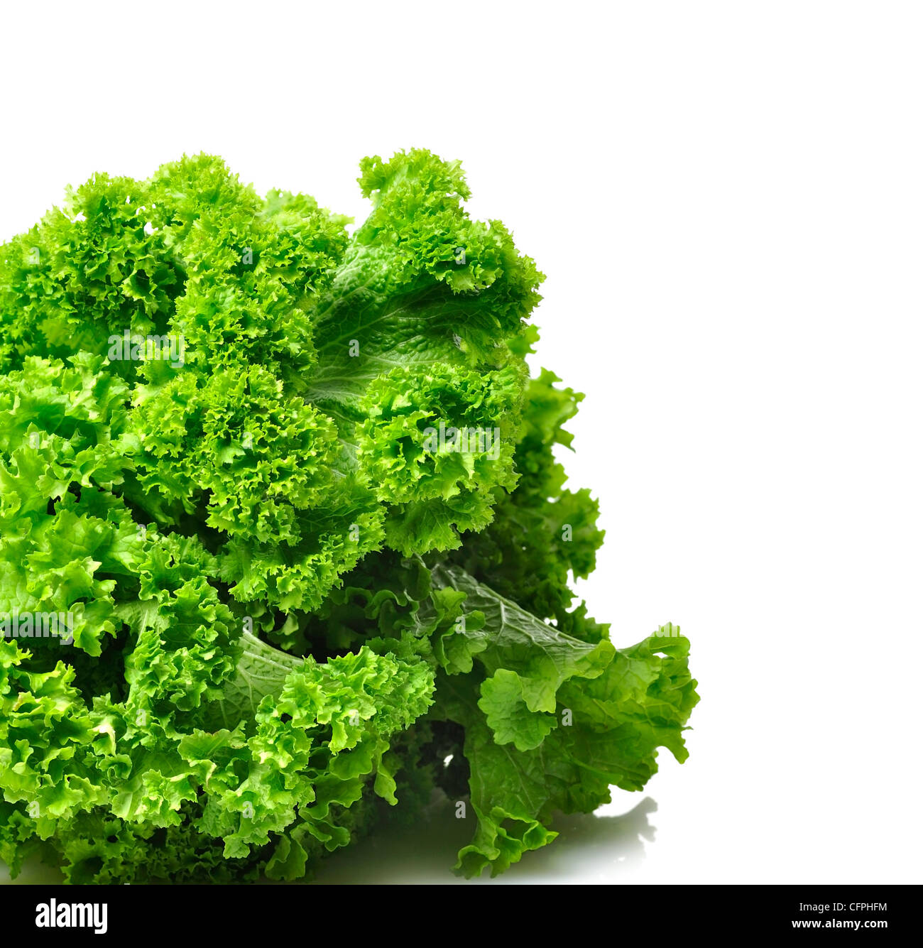 Fresh Curly Mustard Green Leaves Stock Photo - Alamy