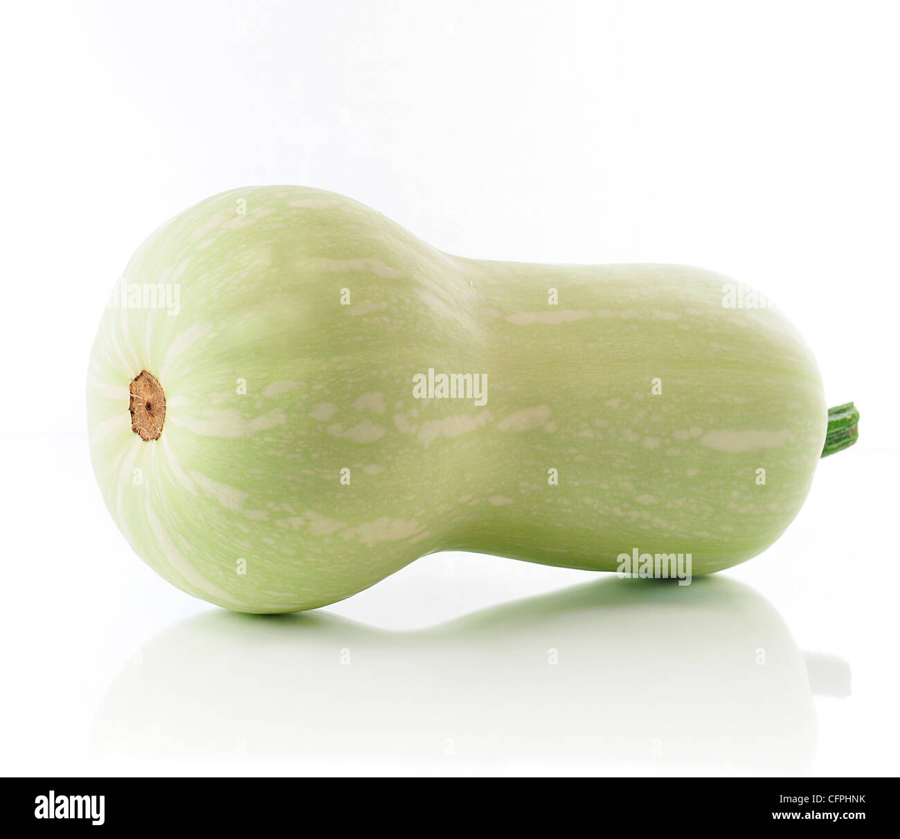 summer squash on white background Stock Photo - Alamy