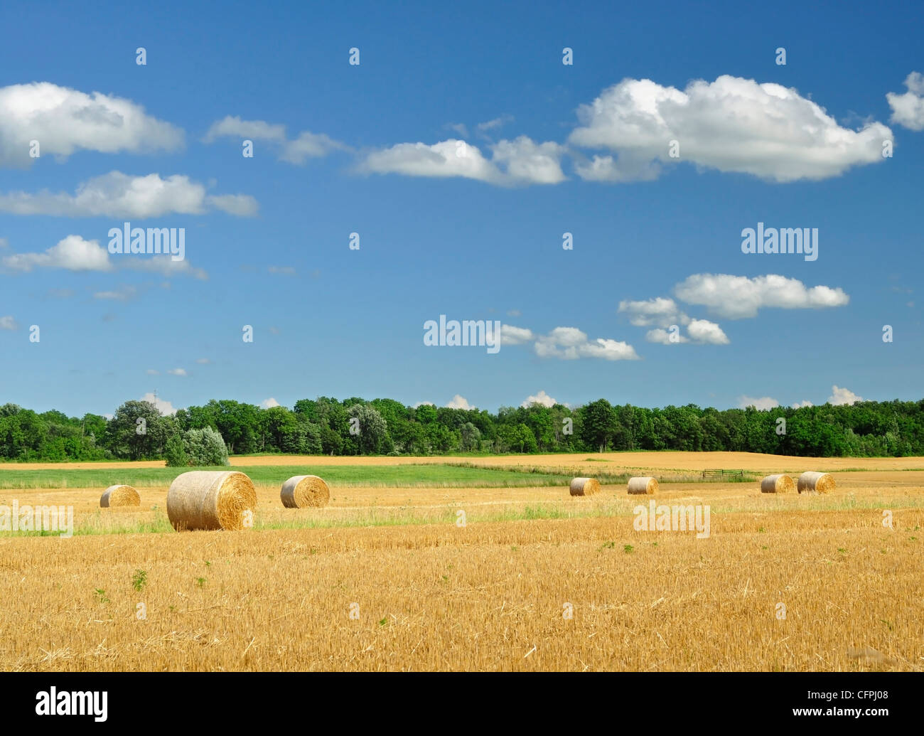 country summer landscape Stock Photo - Alamy