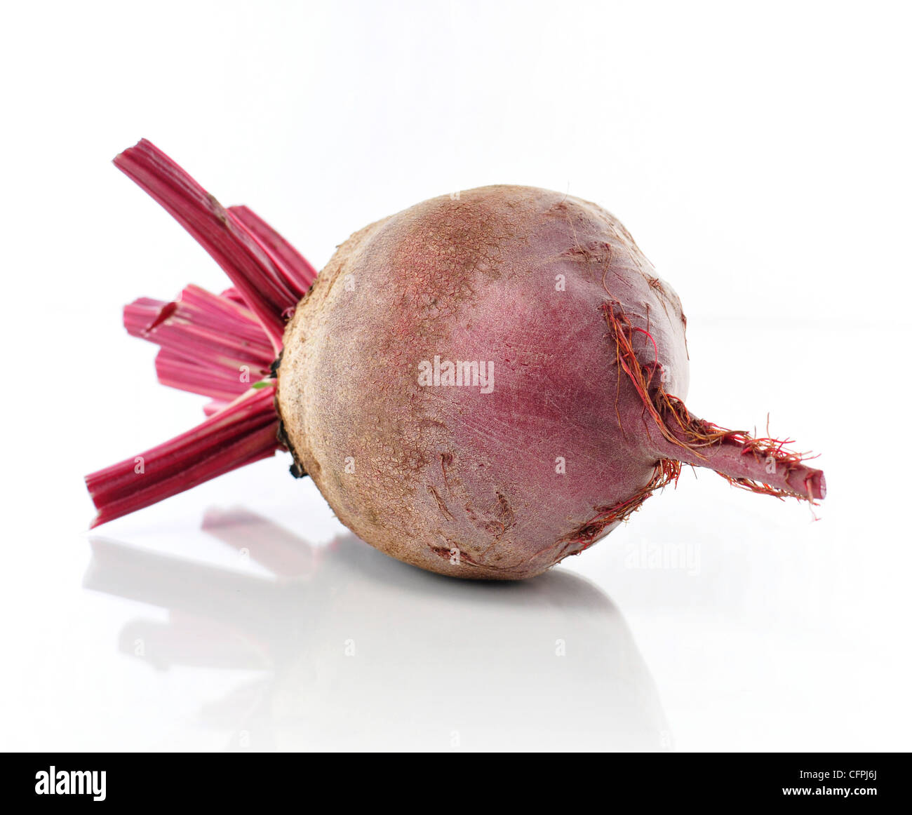 a fresh beet on white background Stock Photo - Alamy