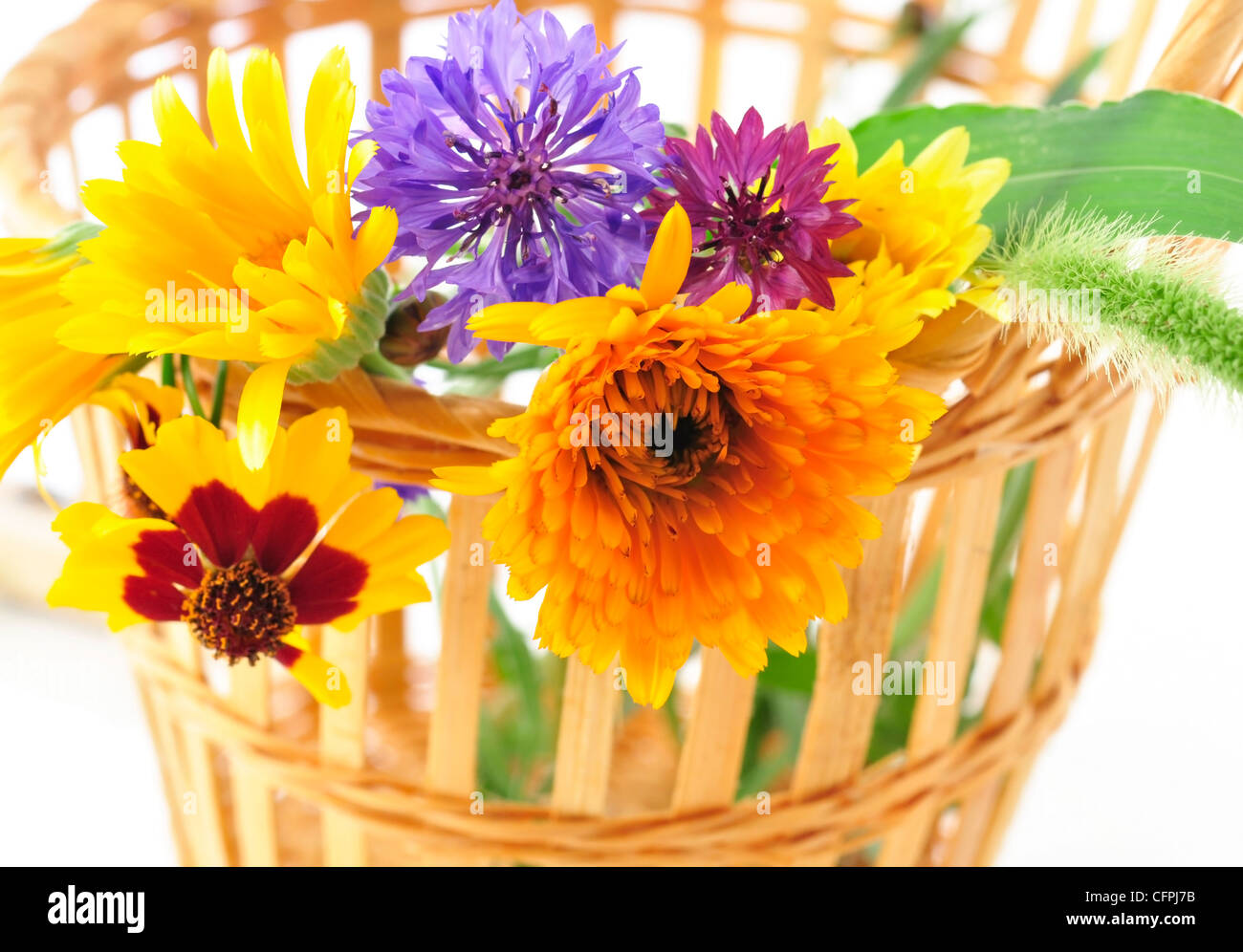 summer flowers in a basket Stock Photo - Alamy
