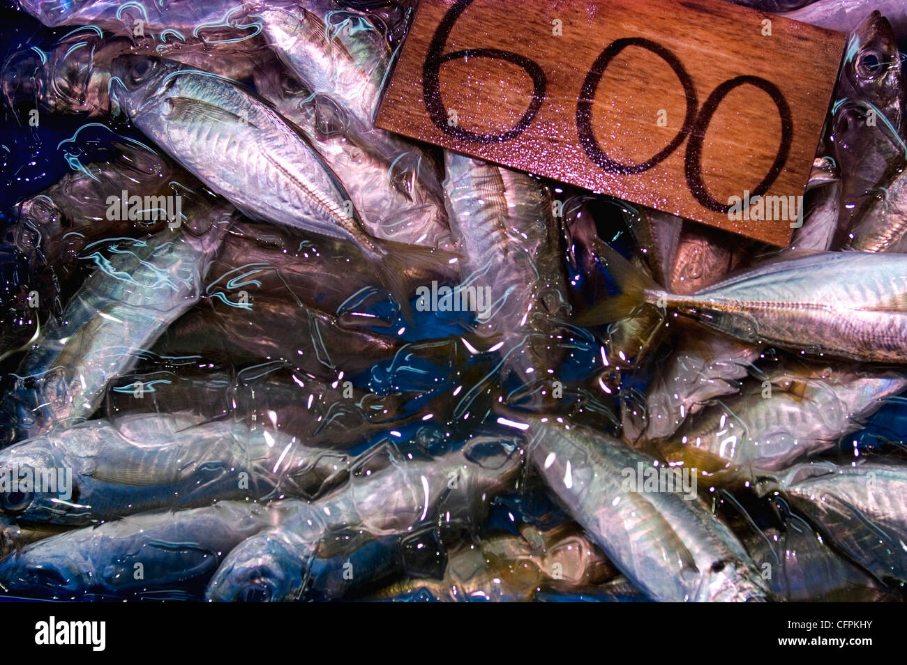 Tsukiji Central Fish Market, Tokyo, Japan Stock Photo - Alamy