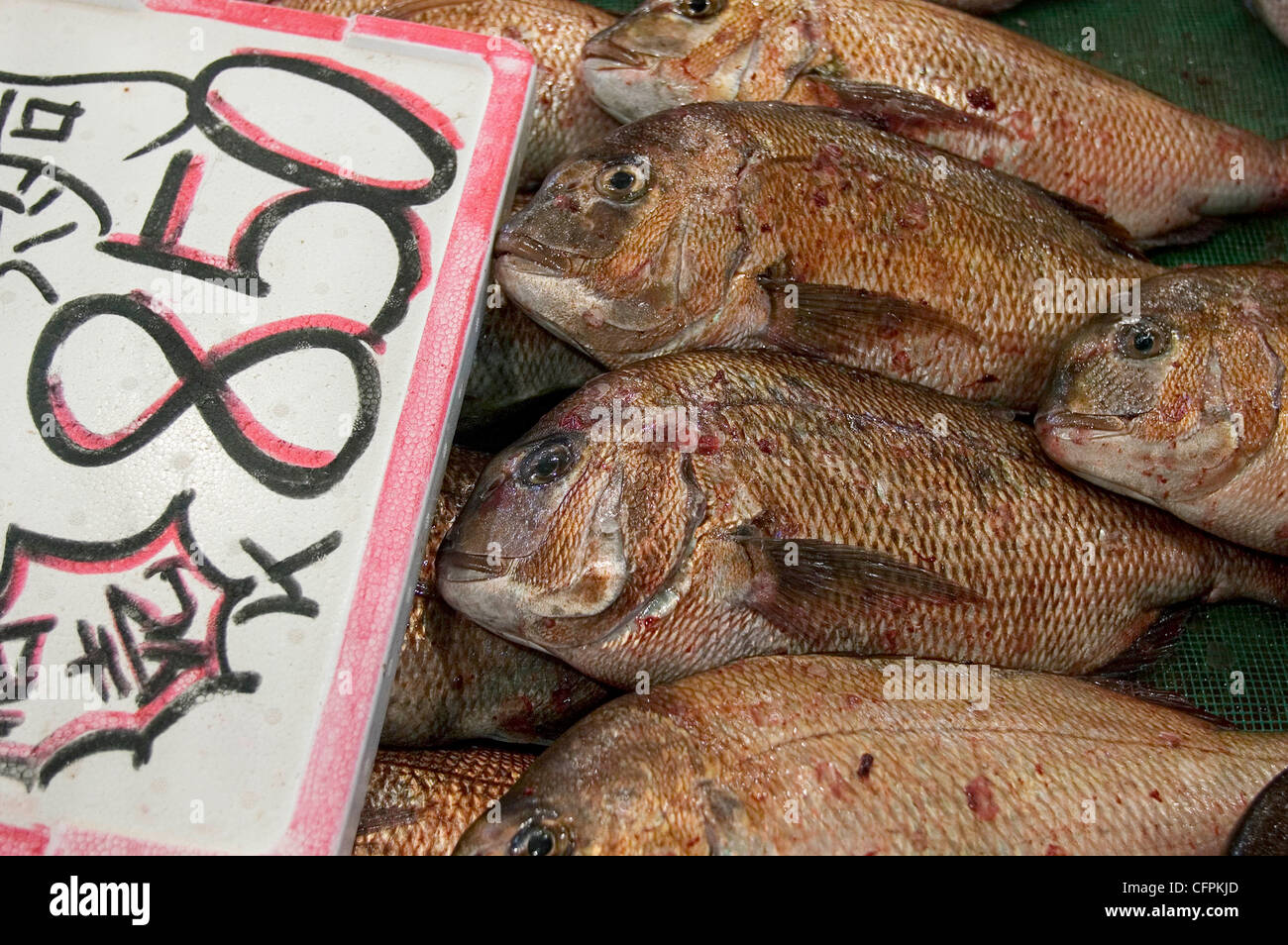 Tsukiji Central Fish Market, Tokyo, Japan Stock Photo - Alamy