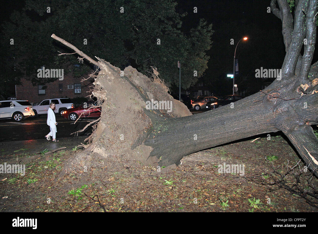 A fallen tree in the Queens Village neighborhood in the Queens borough ...