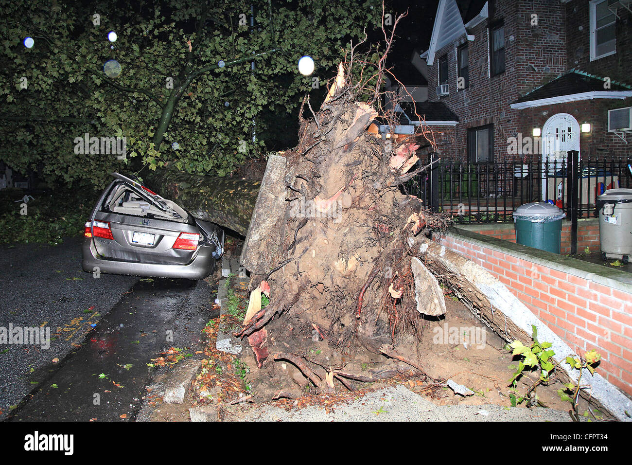 Car crushed fallen tree in High Resolution Stock Photography and Images ...