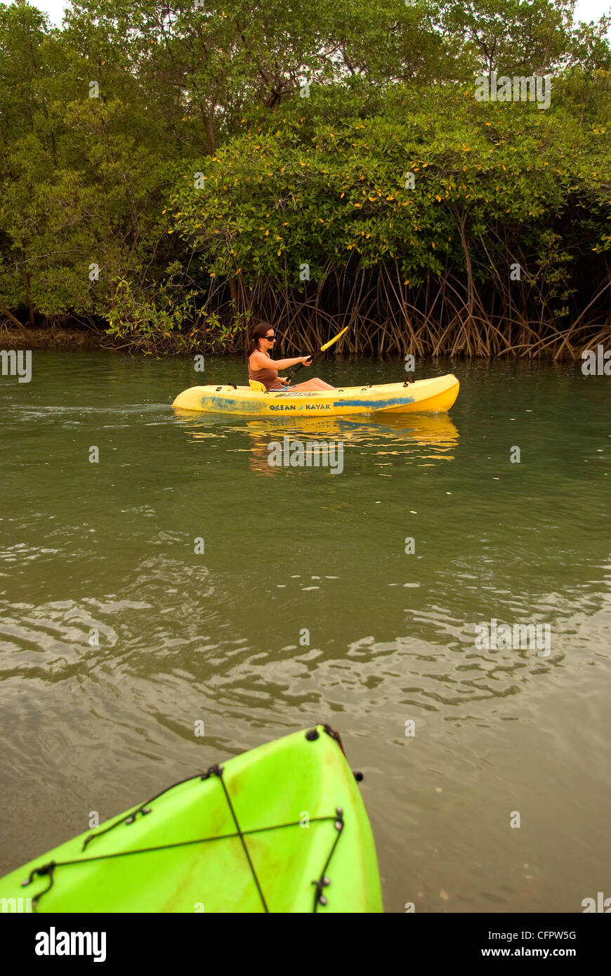 Rauser hi-res stock photography and images - Alamy