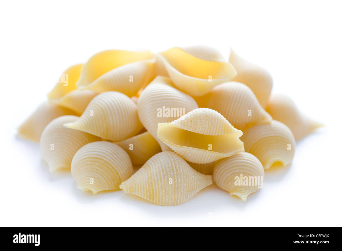 conchiglioni pasta shells dried uncooked Stock Photo - Alamy