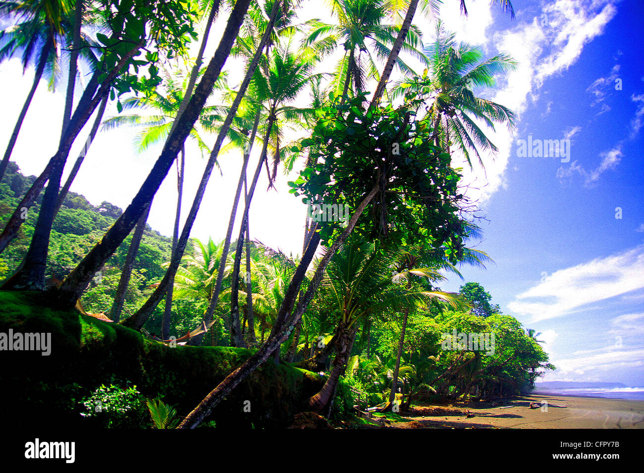 Corcovado Lodge Tent Camp fronts the beach at Carate, Costa Rica Stock ...
