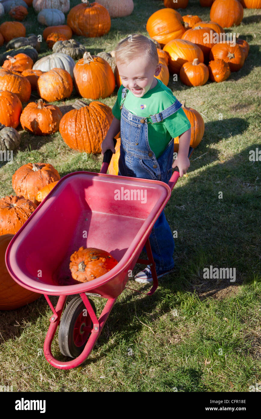 Halloween Fun at the Pumpkin Patch Stock Photo - Alamy