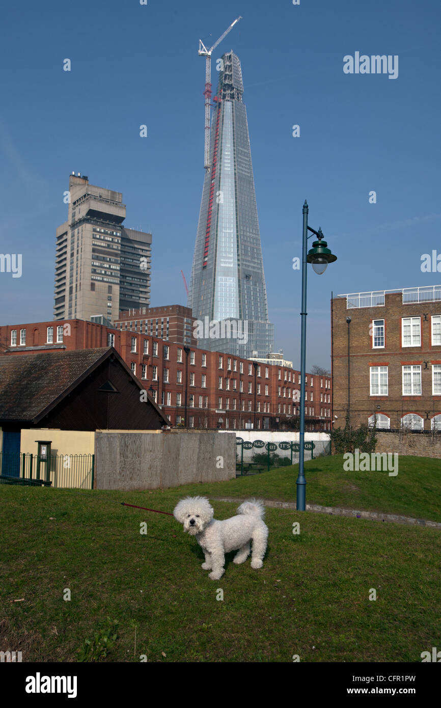 shard and dog london Stock Photo - Alamy