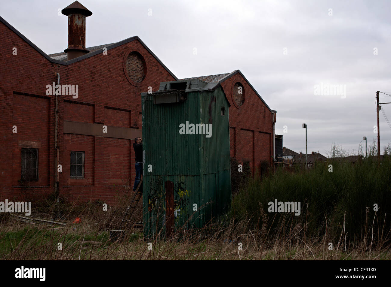 pigeon loft or dookit in parkhead glasgow Stock Photo - Alamy
