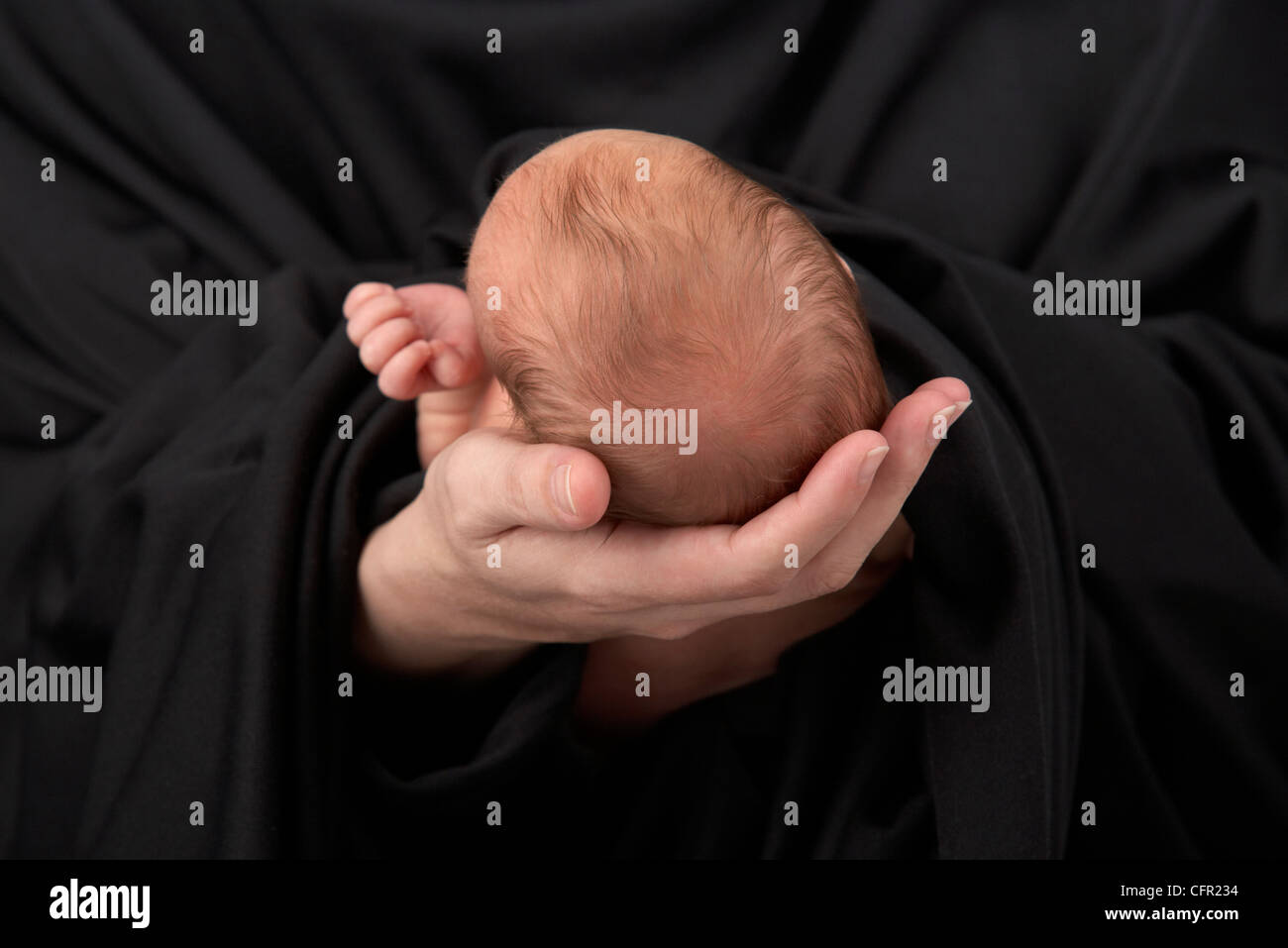 Adult Holding Newborn in Palm of Hand Stock Photo - Alamy