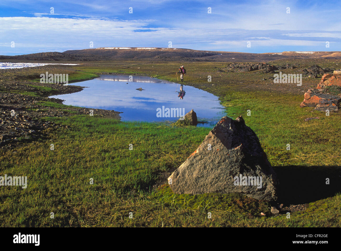 Hiker, Truelove Lowland, Devon Island, Nunavut Stock Photo - Alamy