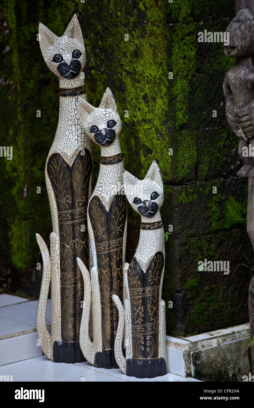 Cats in Bali, Ubud, South Asia, Indonesia Stock Photo - Alamy