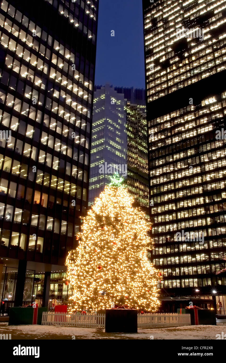 Christmas Tree and Skyscrapers, Toronto, Ontario Stock Photo - Alamy