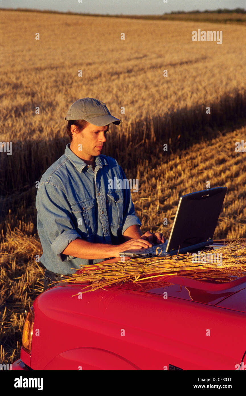 Farmer using Laptop in Wheat Field, Tiger Hills, Manitoba Stock Photo ...