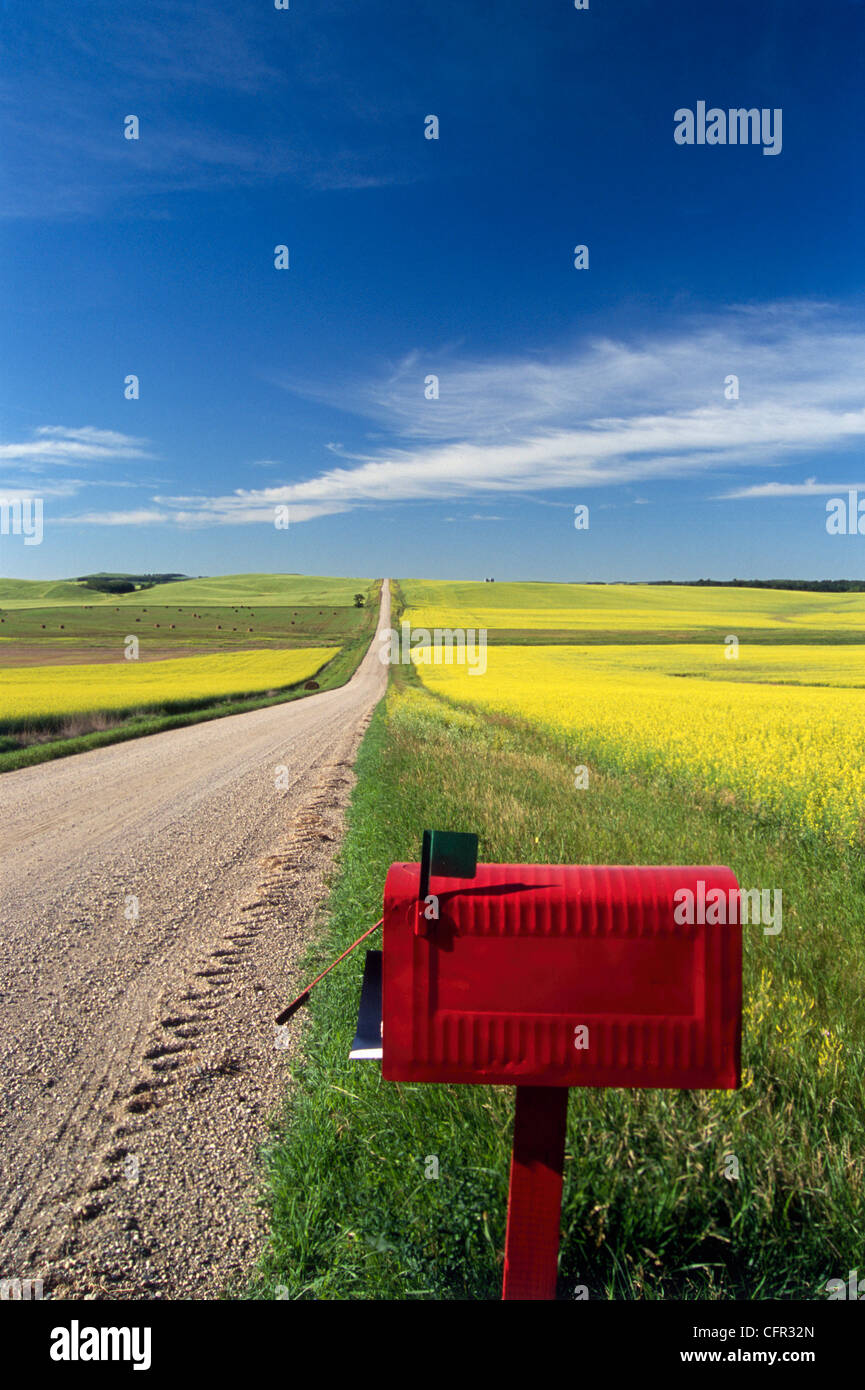 Mailbox on Country Road, Tiger Hills, Manitoba Stock Photo - Alamy