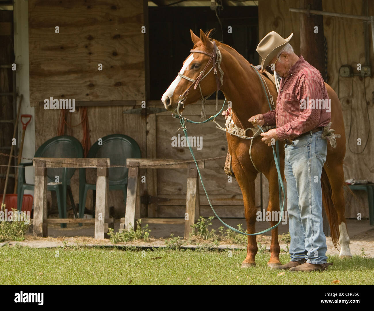 Cowboy preparing horse hi-res stock photography and images - Alamy