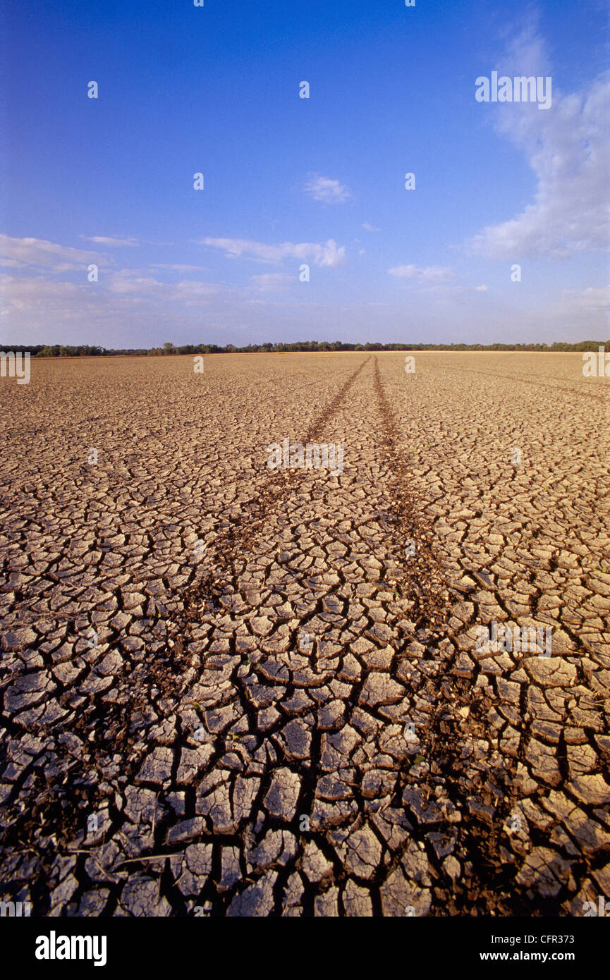 Farmland affected by Drought, Red River Valley, Manitoba Stock Photo ...
