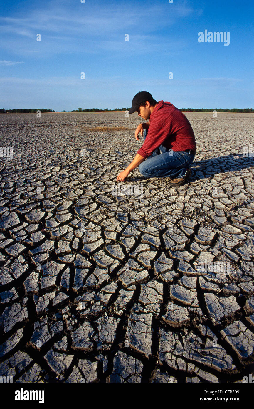 Farmer on land affected by Drought, Red River Valley, Manitoba Stock ...