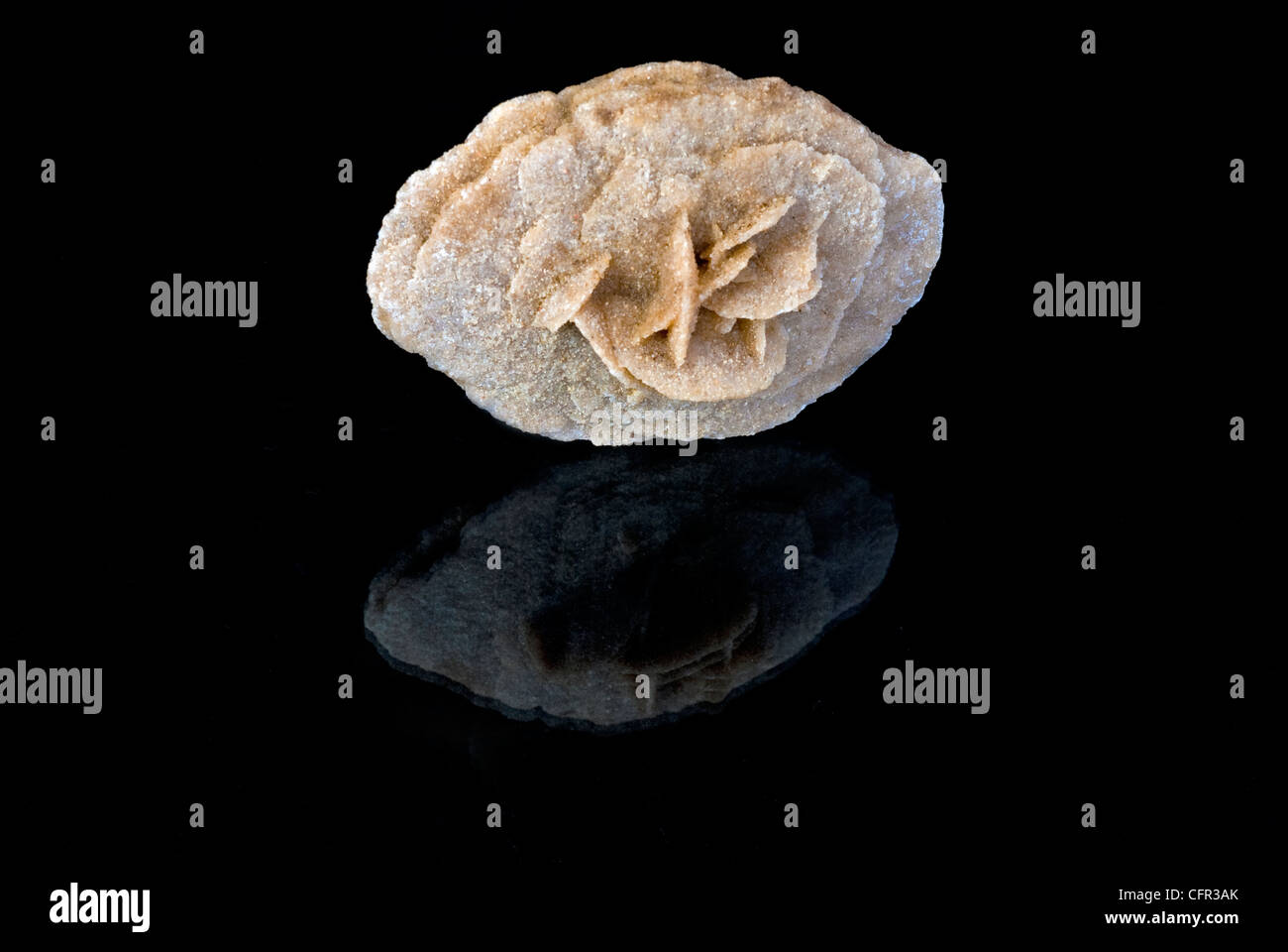 Desert Sand Rose Stock Photo - Alamy