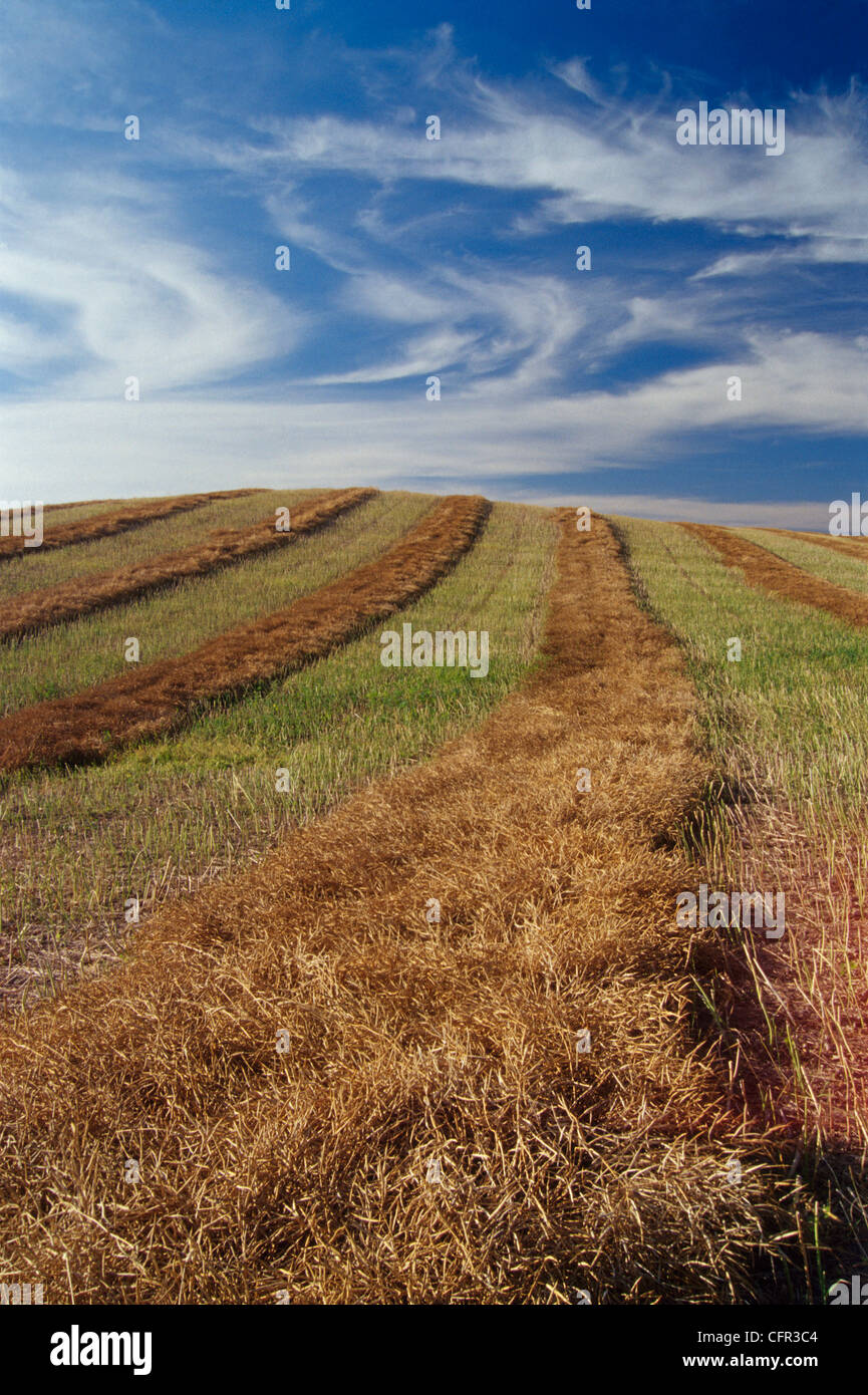 Cloud swath hi-res stock photography and images - Alamy
